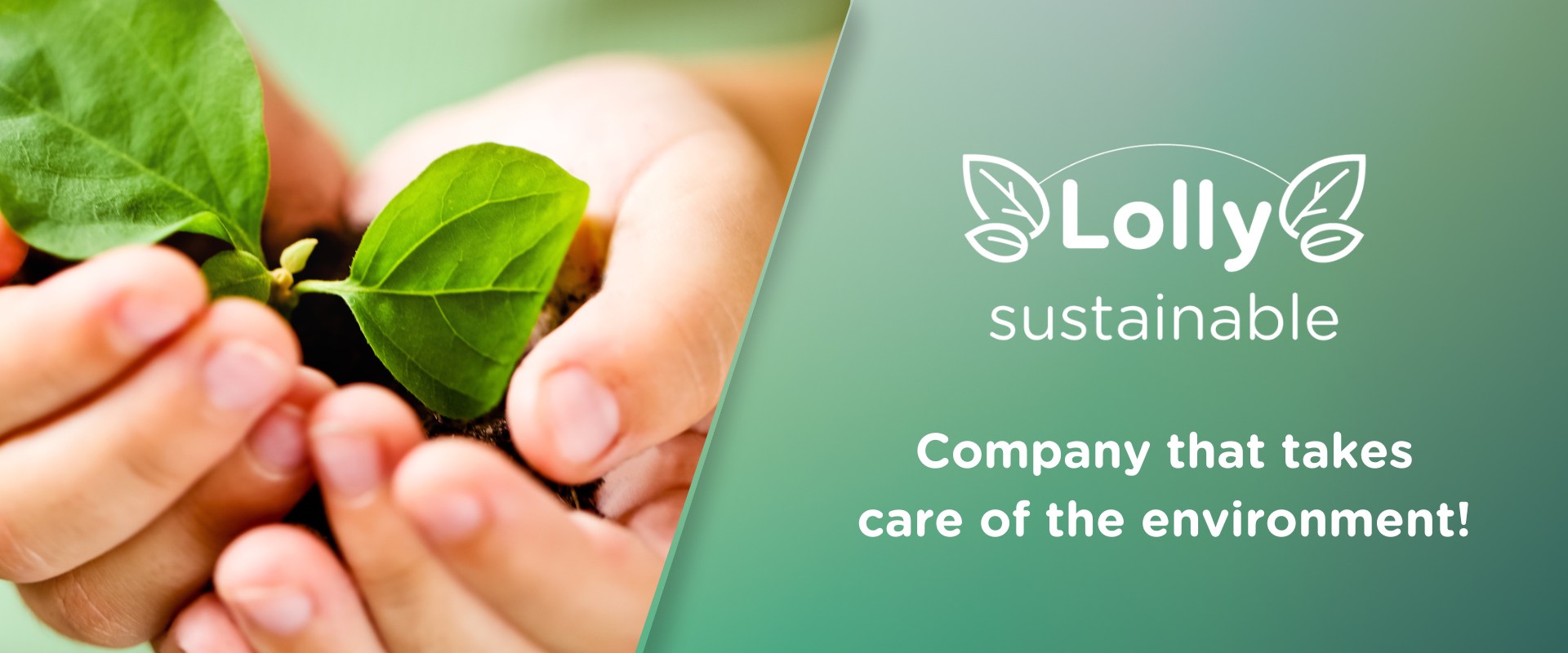 Home - Lolly Brasil - I Lolly You